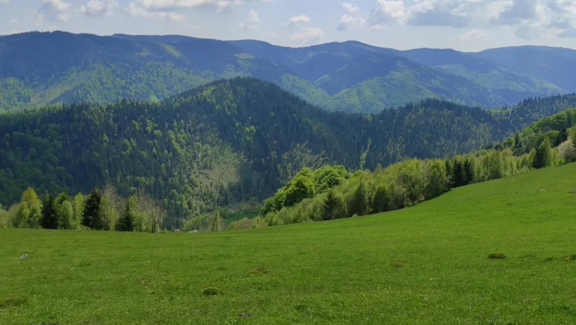 Munții Noștri - Tura MTB Valea Ierii, Dobrin și Mănăstirea Muntele Rece ...