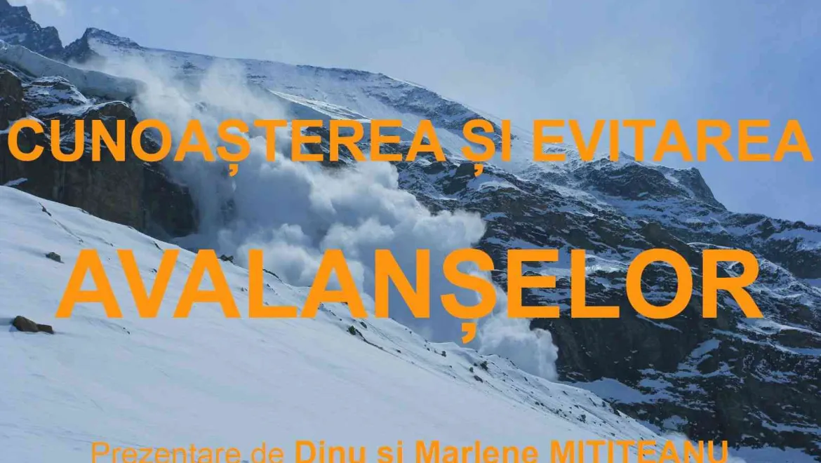 O seara Despre AVALANSE la Cluj | CAR Cluj